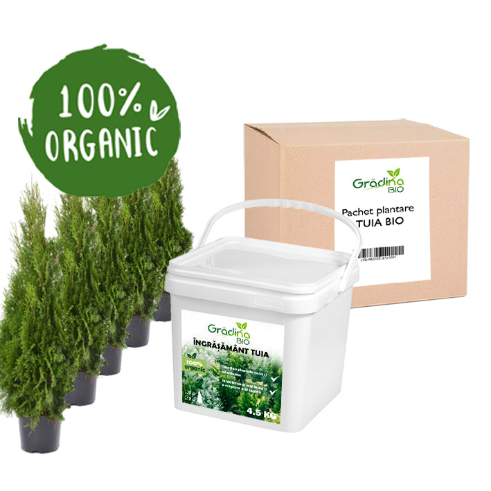 Pachet plantare TUIA : 5x Tuia Smaragd + Fertilizant – Gradina BIO